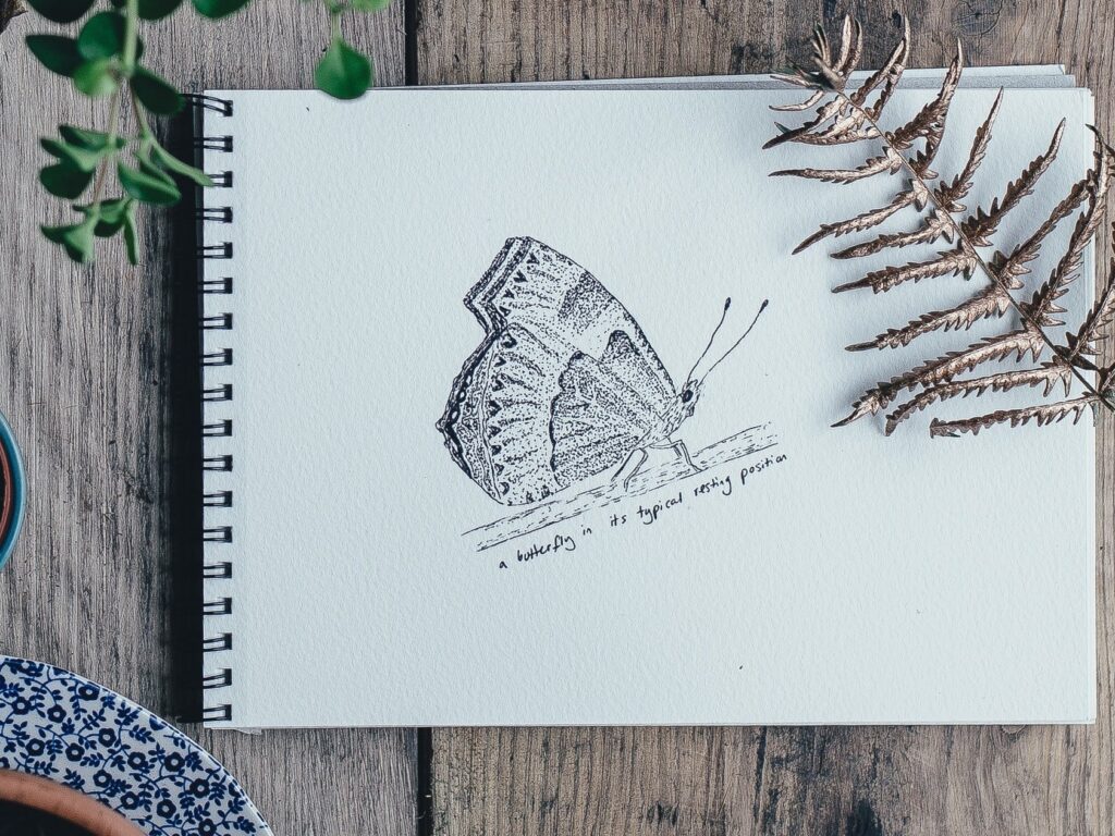 10 Tips om je Schetsboek te vullen - ArtPub - ArtPub